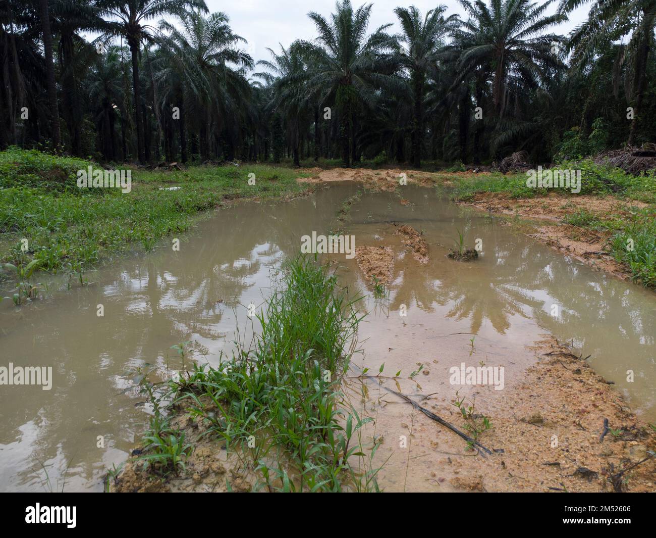 aerial scene of the vacant agriculture land fulls of puddle Stock Photo ...