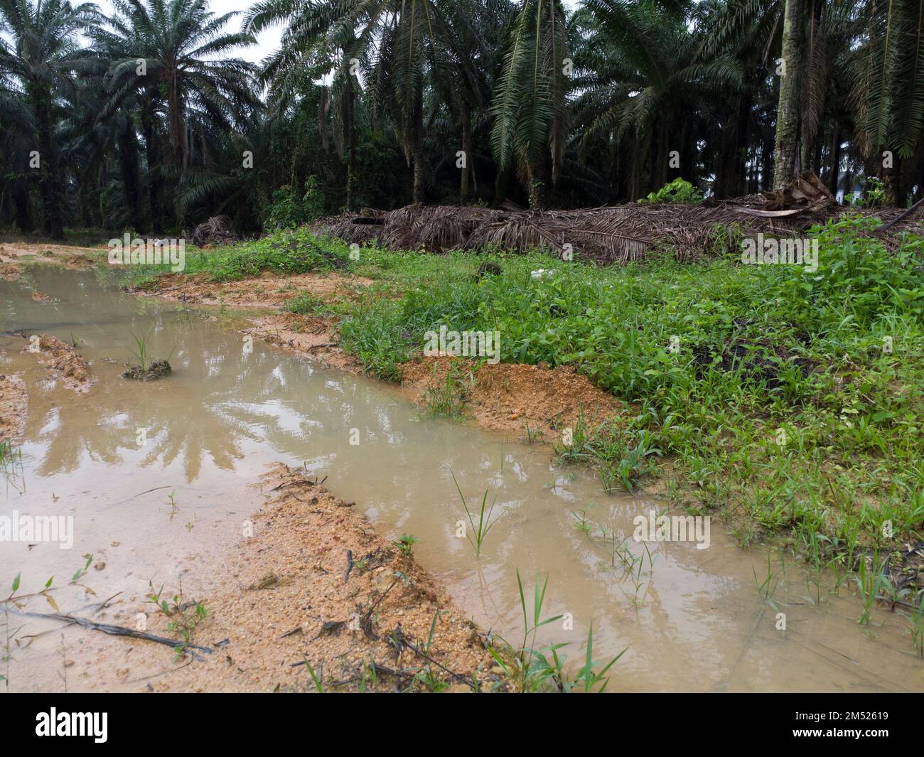 aerial scene of the vacant agriculture land fulls of puddle Stock Photo ...