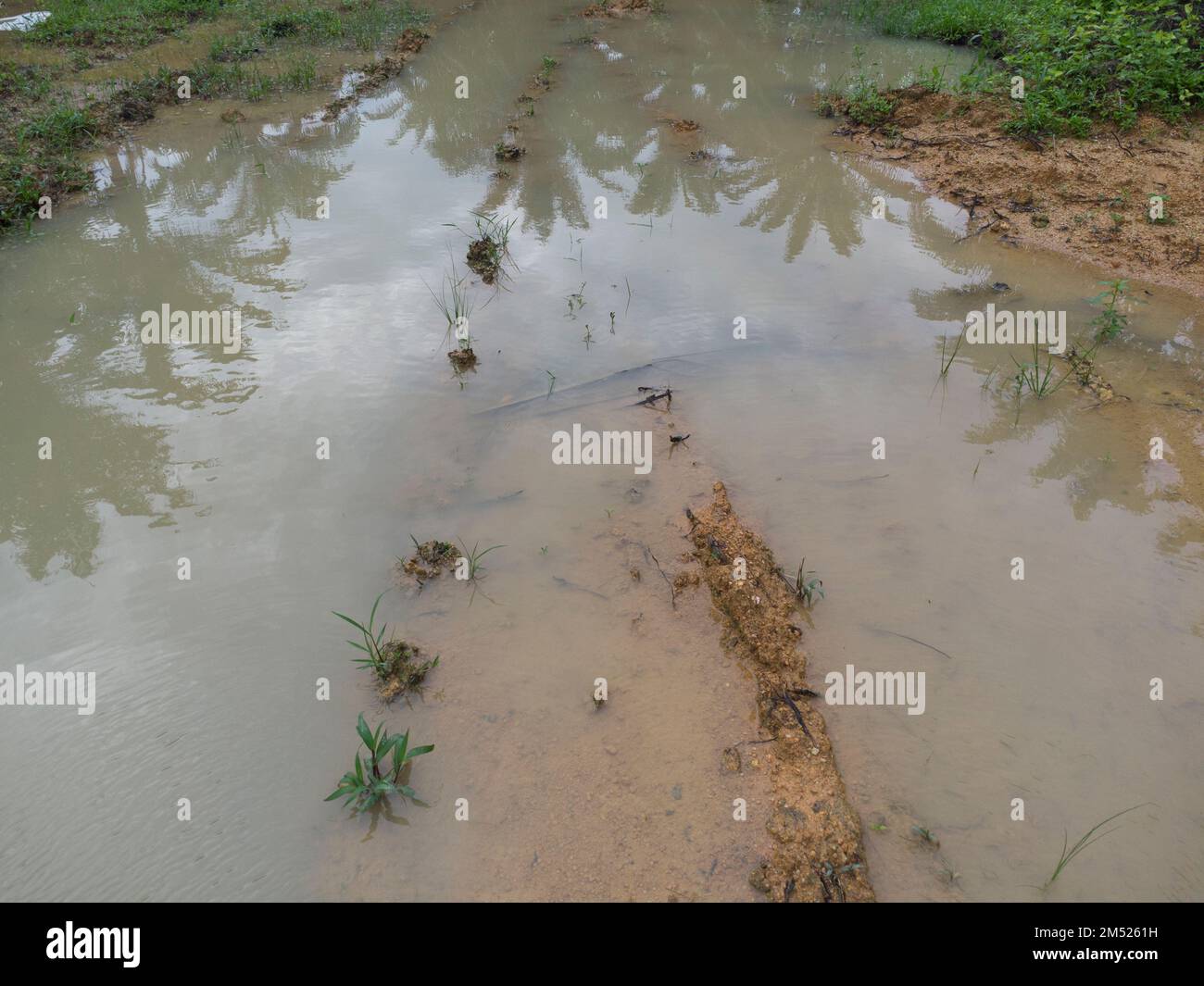aerial scene of the vacant agriculture land fulls of puddle Stock Photo ...