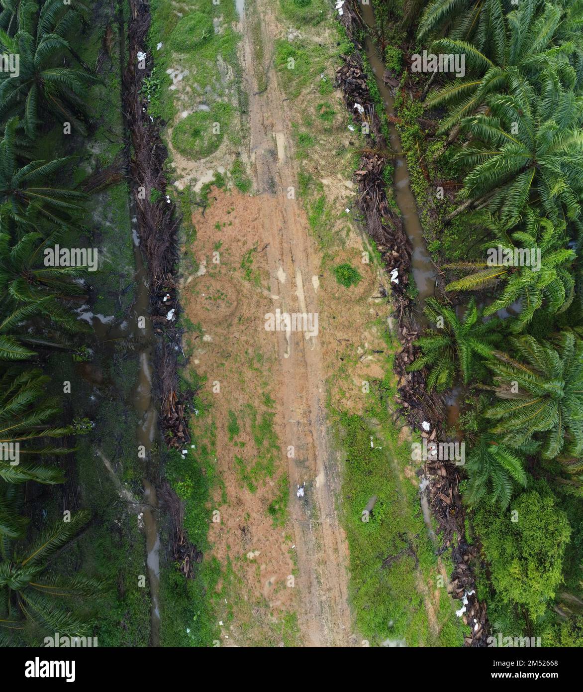 aerial scene of the vacant agriculture land fulls of puddle Stock Photo ...
