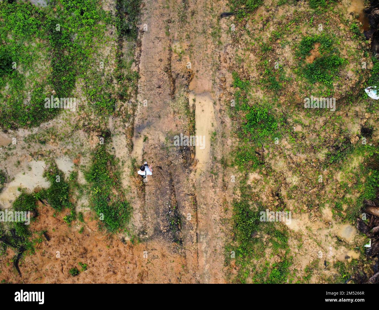 aerial scene of the vacant agriculture land fulls of puddle Stock Photo ...