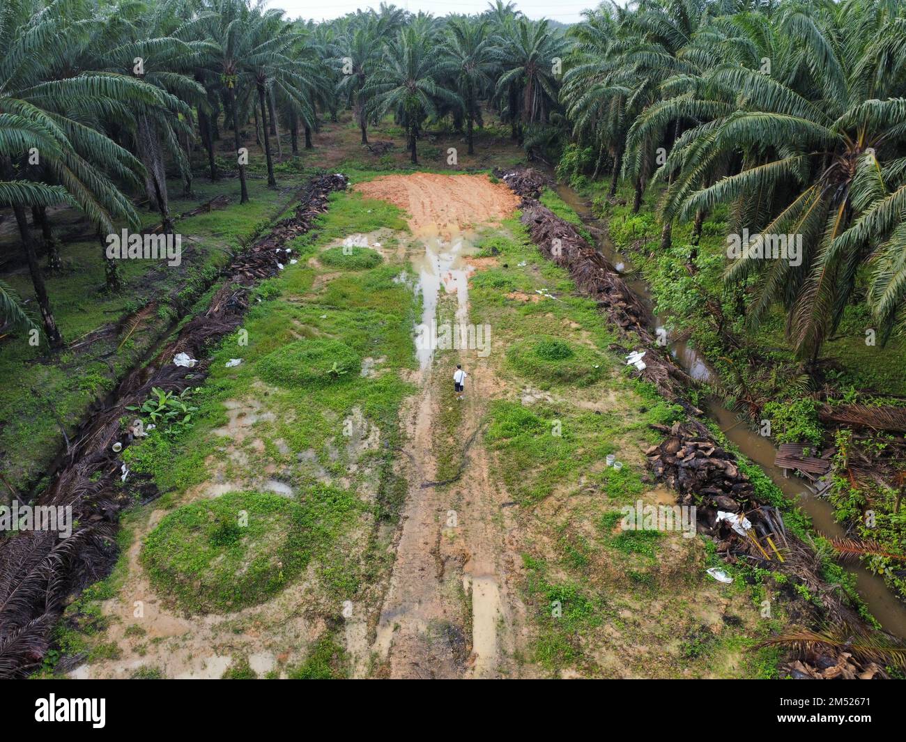 aerial scene of the vacant agriculture land fulls of puddle Stock Photo ...
