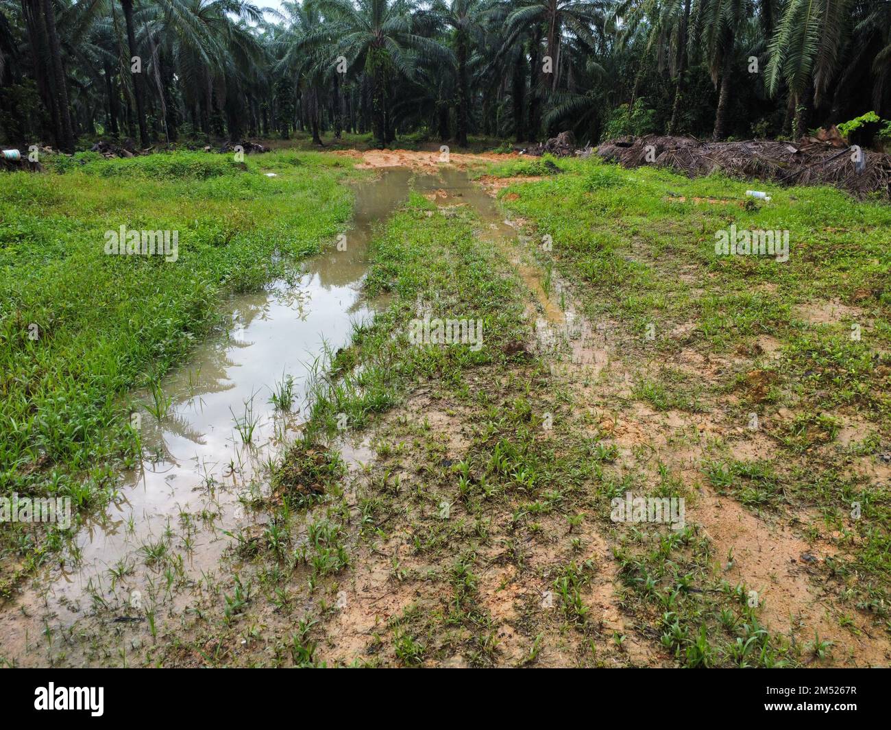 aerial scene of the vacant agriculture land fulls of puddle Stock Photo ...