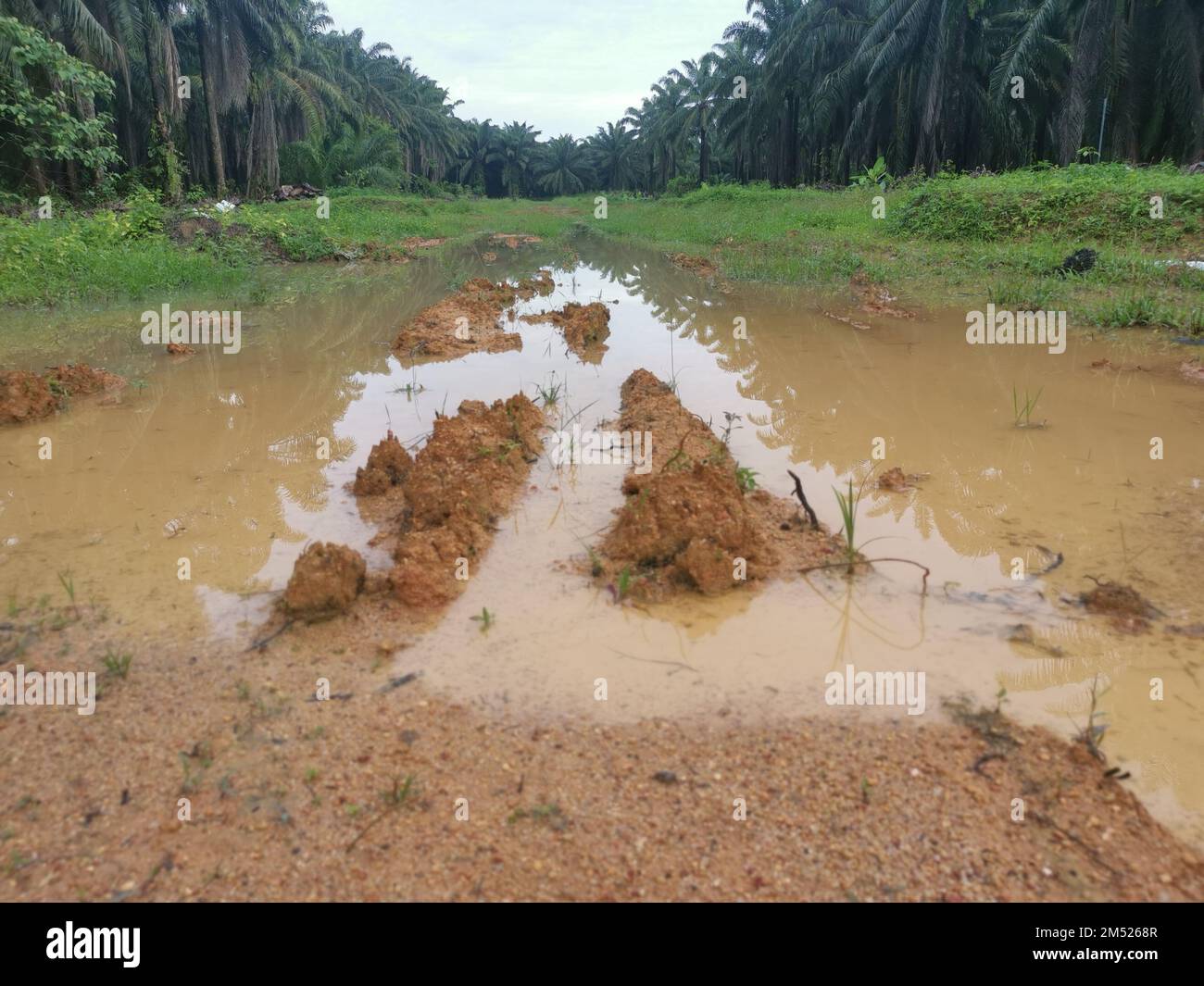 aerial scene of the vacant agriculture land fulls of puddle Stock Photo ...