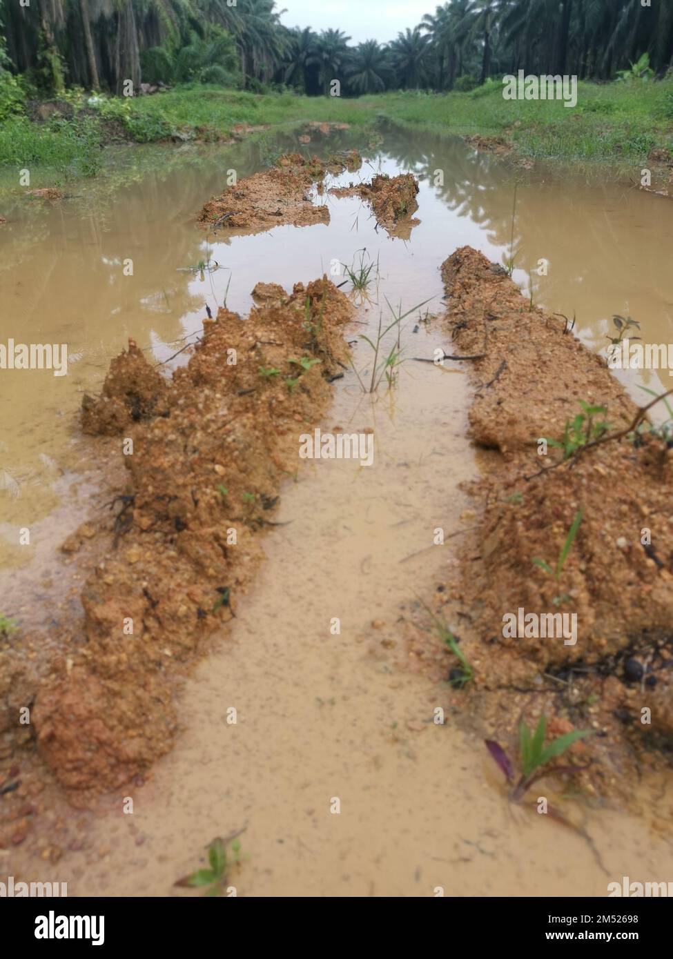 aerial scene of the vacant agriculture land fulls of puddle Stock Photo ...