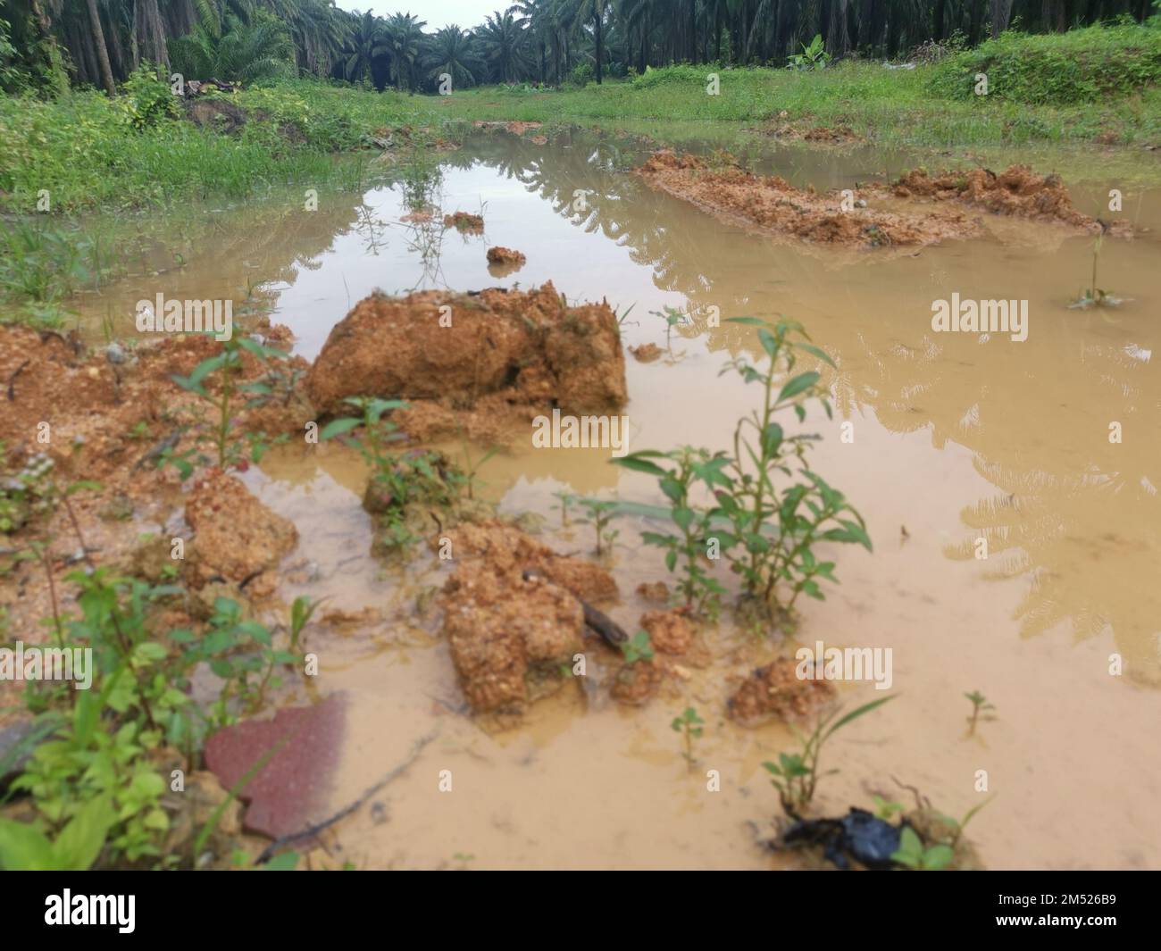 aerial scene of the vacant agriculture land fulls of puddle Stock Photo ...