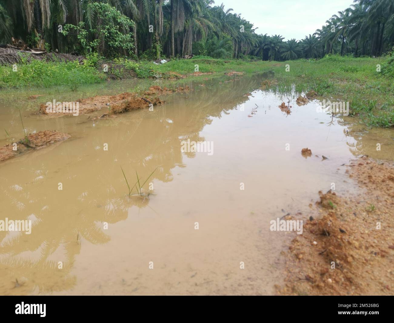 aerial scene of the vacant agriculture land fulls of puddle Stock Photo ...