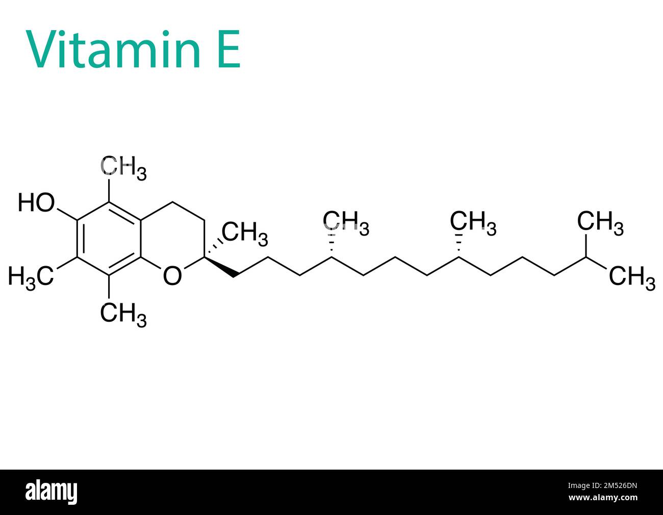 A vector illustration of the molecule structure of Vitamin E Stock ...