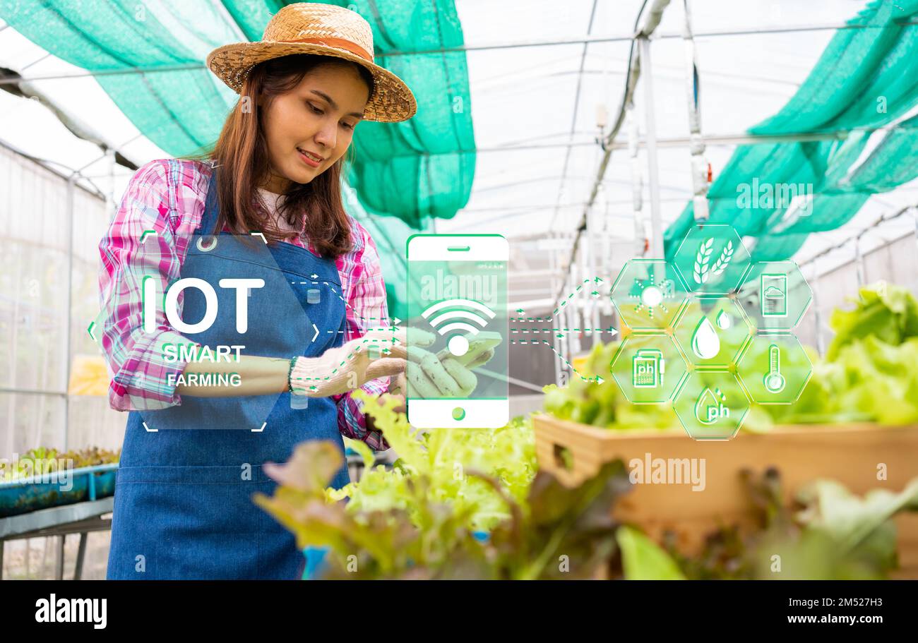 farmer woman use smartphone in greenhouse using apps and internet of ...