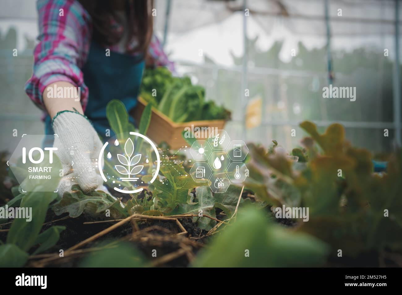 Smart farming iot futuristic agriculture hi-res stock photography and ...