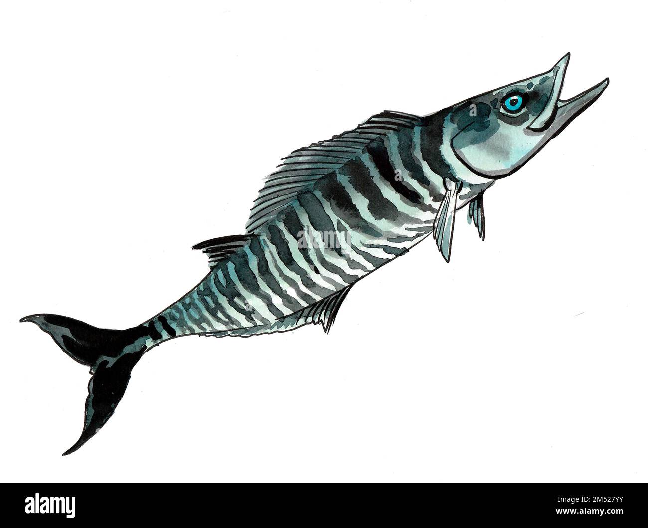 Tropical sea fish on white background. Ink and watercolor drawing Stock ...