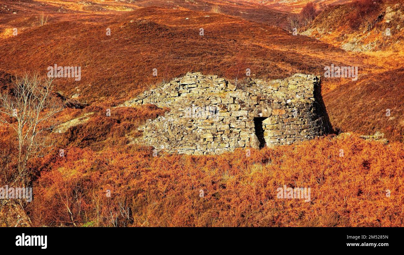 Caisteal na Coille broch (Castle Cole Stock Photo - Alamy