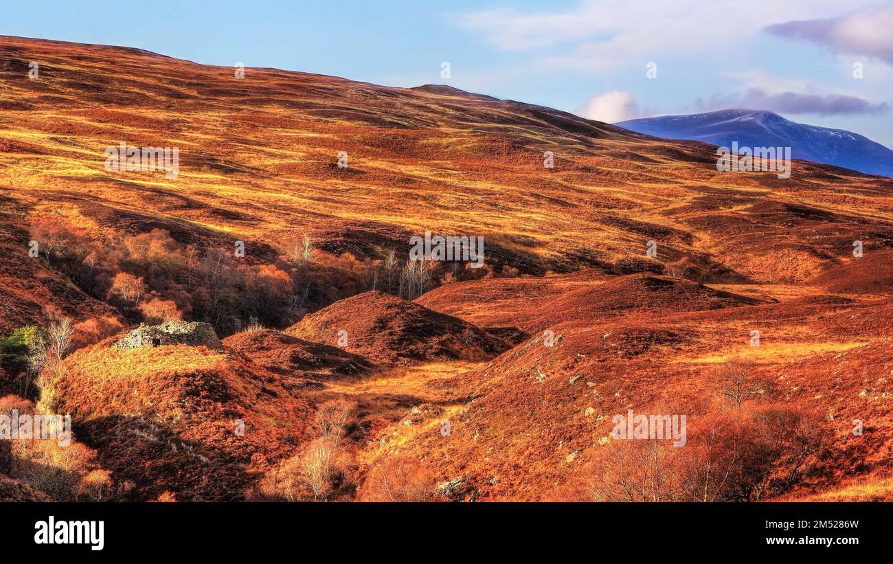 Cole castle hi-res stock photography and images - Alamy
