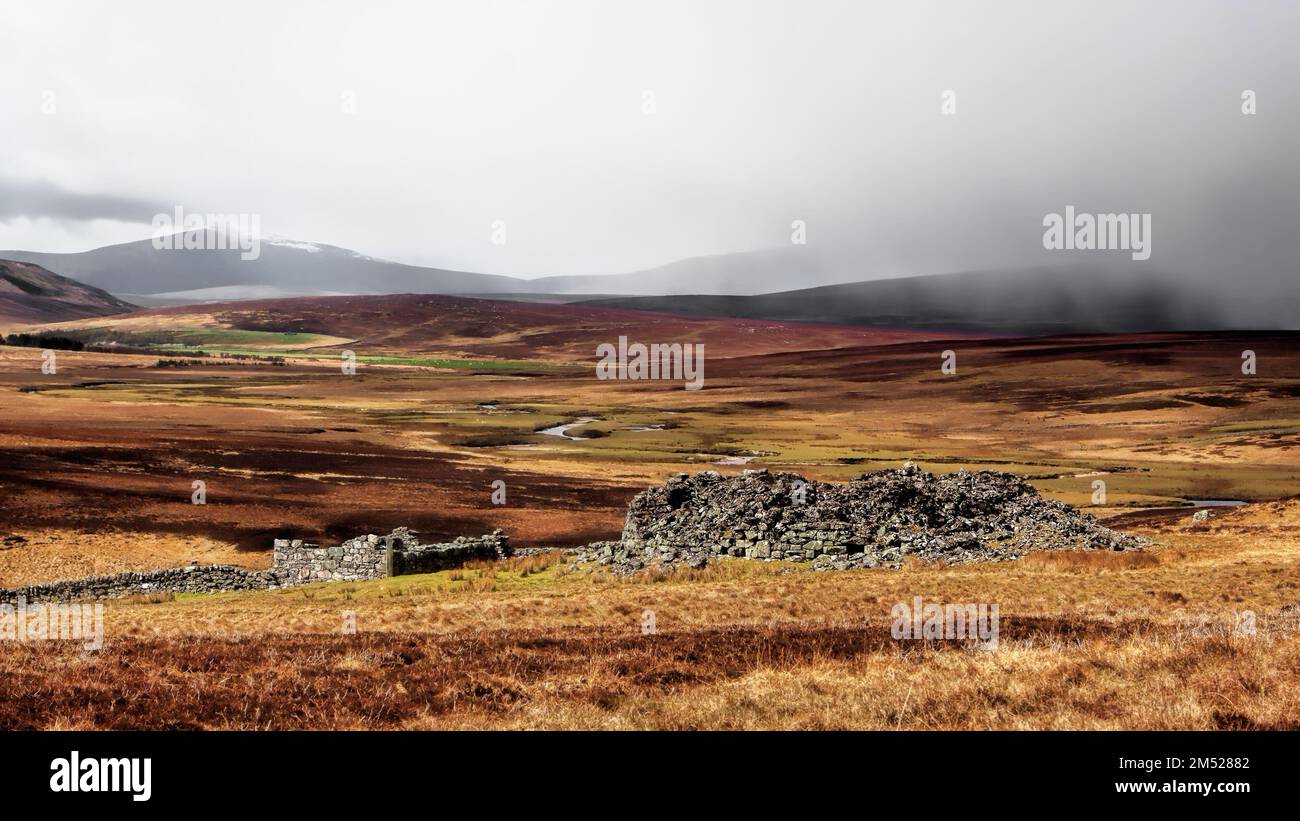Borrobol estate hi-res stock photography and images - Alamy