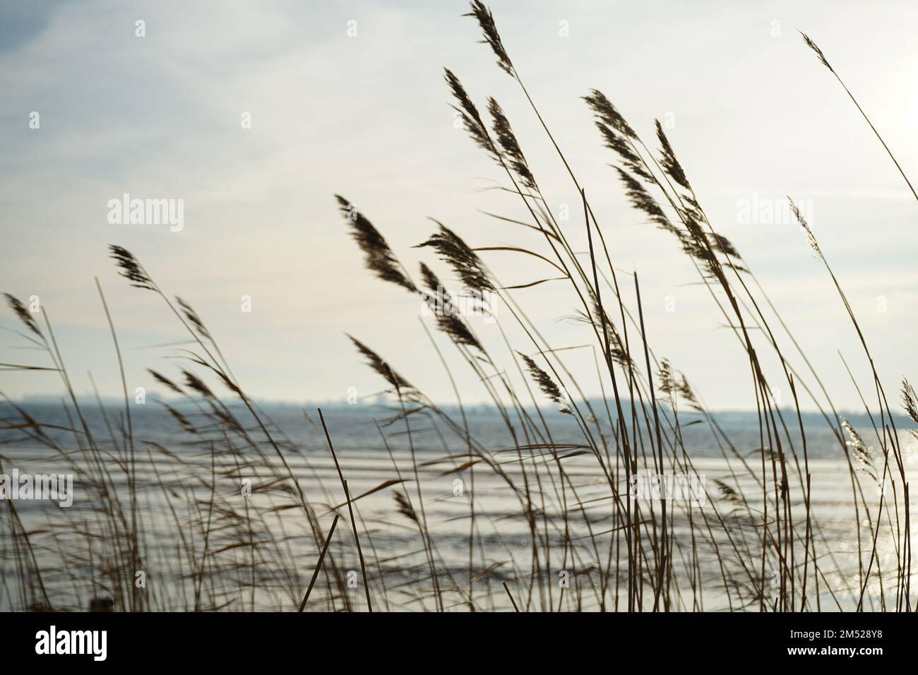 Beautiful windy hi-res stock photography and images - Alamy