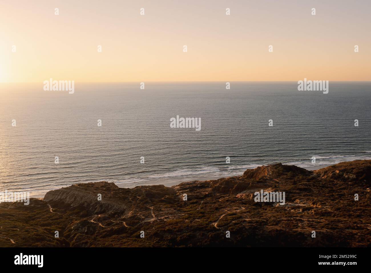 orrey Pines State Natural Reserve and State Park La Jolla San Diego ...