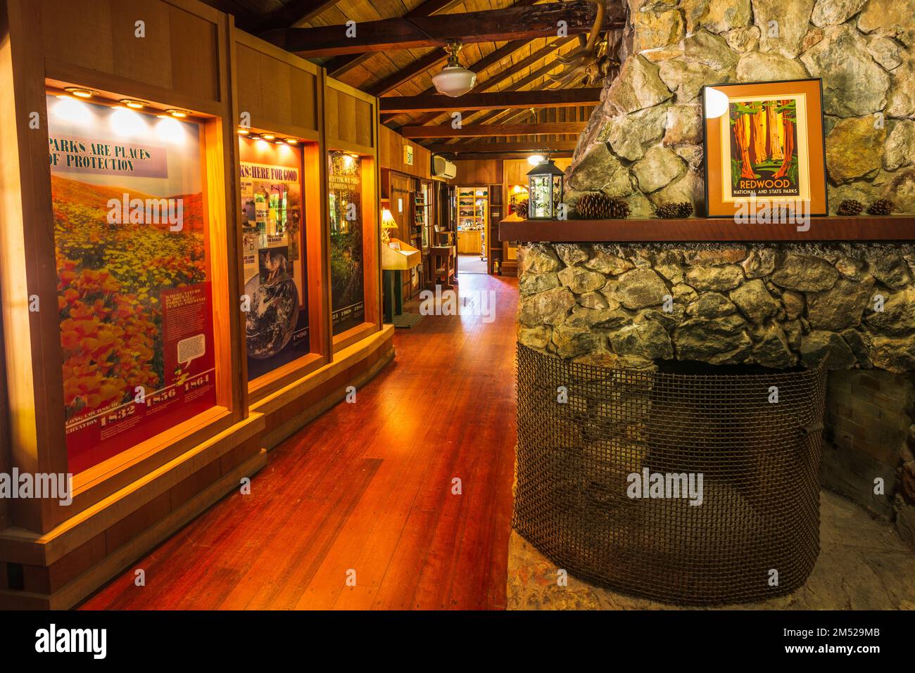 Interpretive display at the visitor center, Prairie Creek Redwood State ...