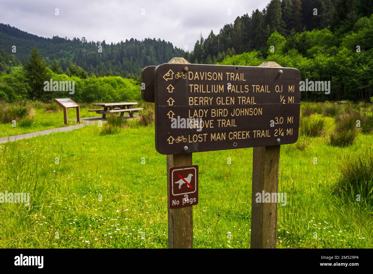 Trillium falls trail sign hi-res stock photography and images - Alamy