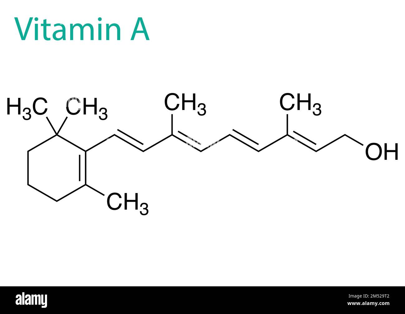 A graphic design on a white background illustrating the structure of ...