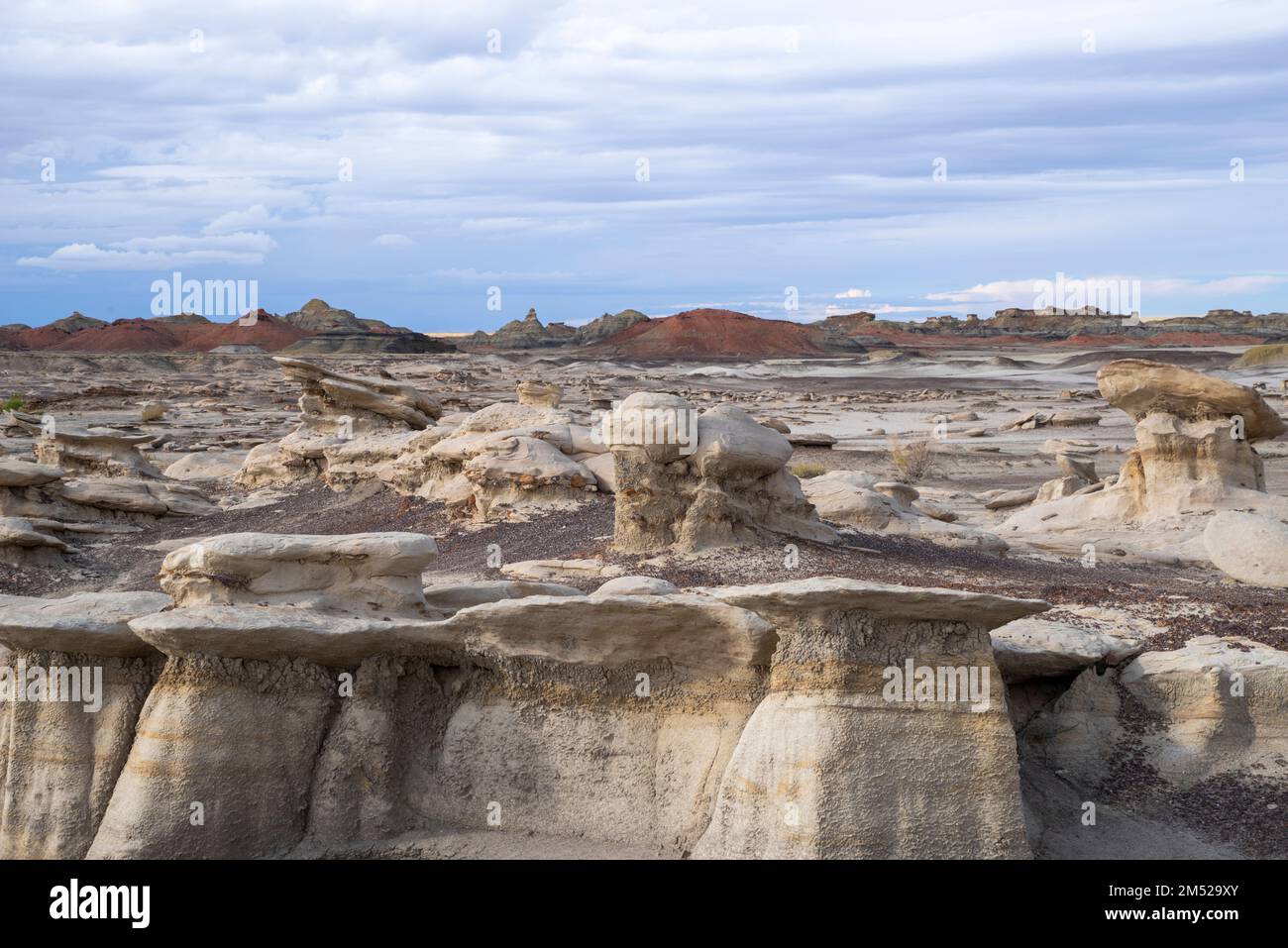Photograph of the Bisti/De-Na-Zin Wilderness Area, a beautiful site of ...
