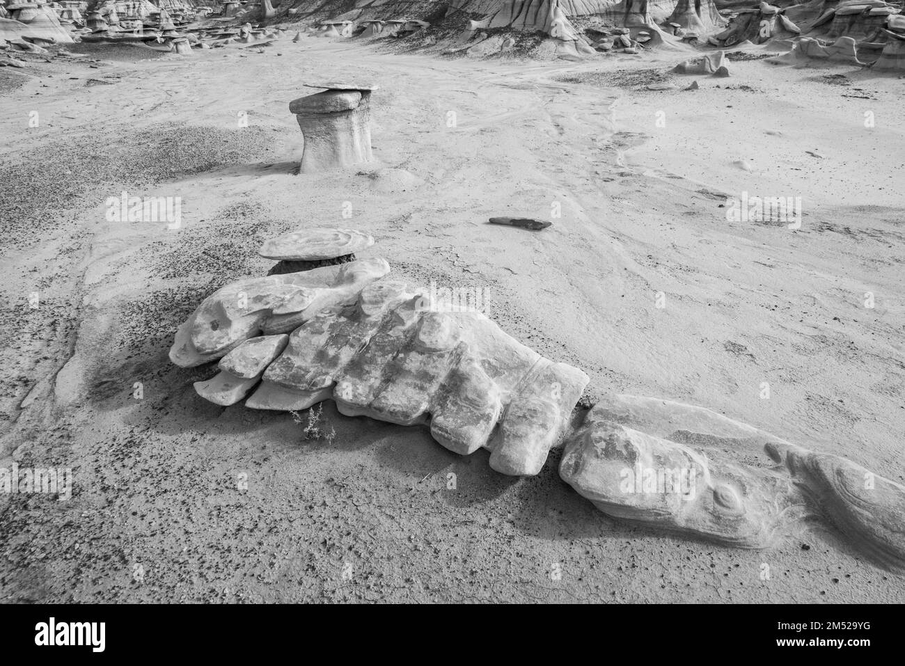 Photograph of the Bisti/De-Na-Zin Wilderness Area, a beautiful site of ...