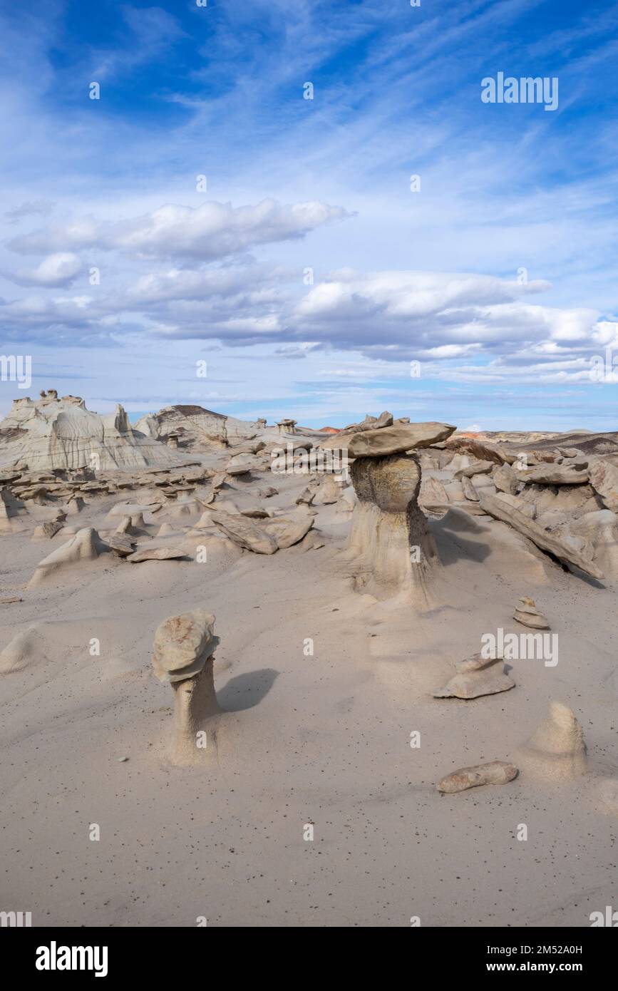 Photograph of the Bisti/De-Na-Zin Wilderness Area, a beautiful site of ...