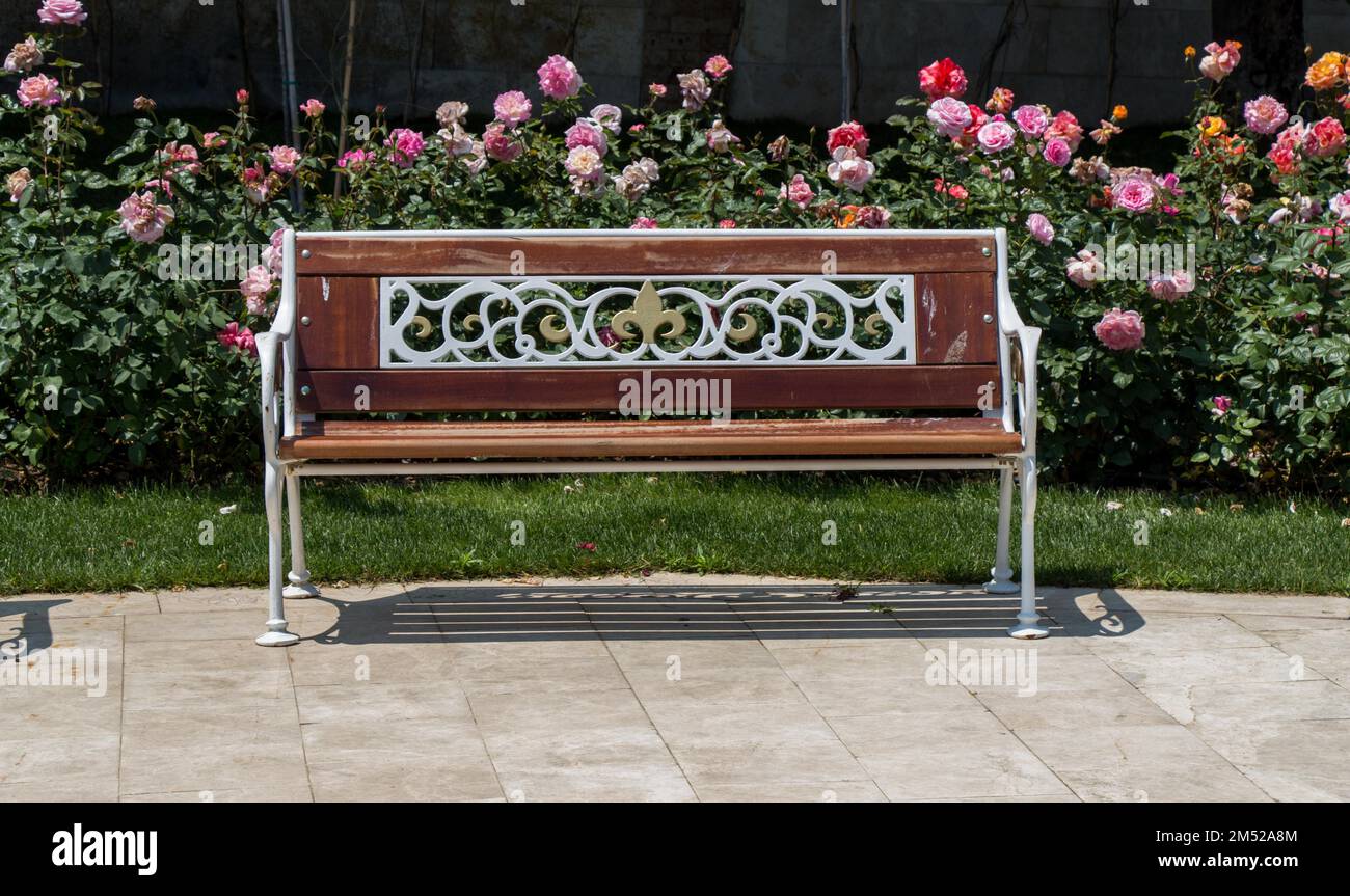 Wooden bench found in the middle of rose garden Stock Photo - Alamy