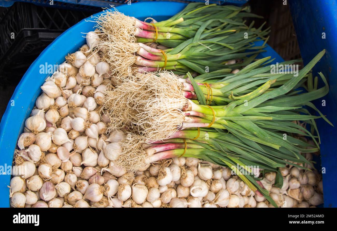 Bunch of garlic bulbs at the market place Stock Photo - Alamy