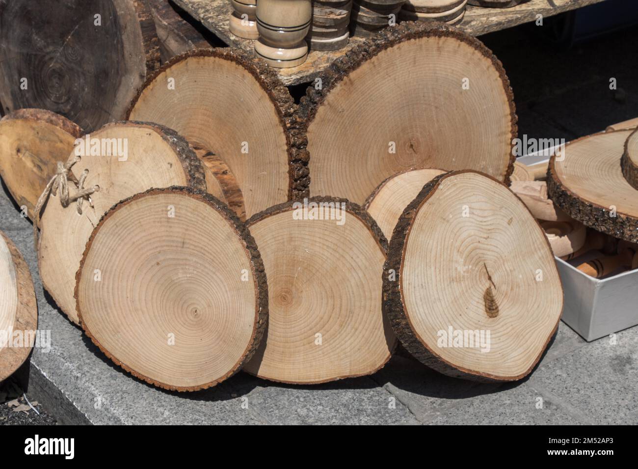 Small piece of cut wood logs used for wood texture background Stock ...