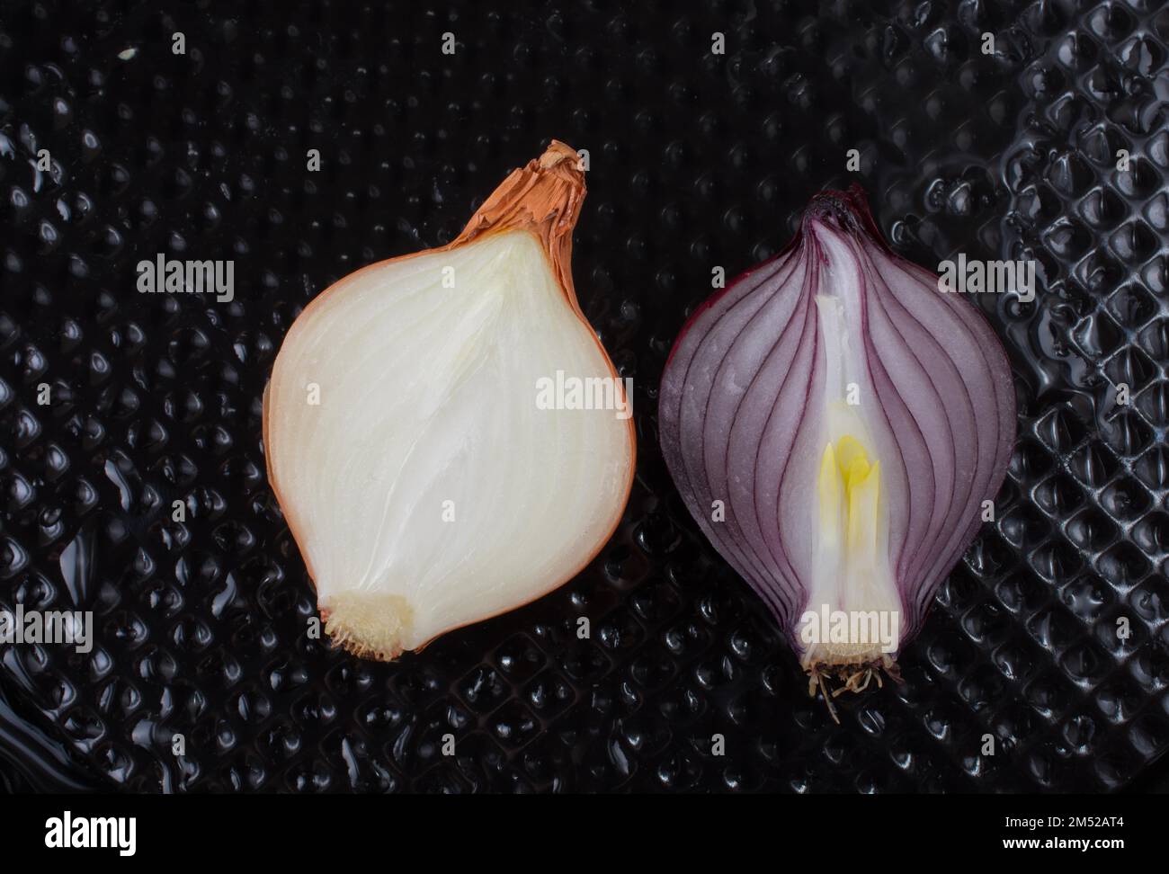 Onion bulb cut in half on a background Stock Photo - Alamy