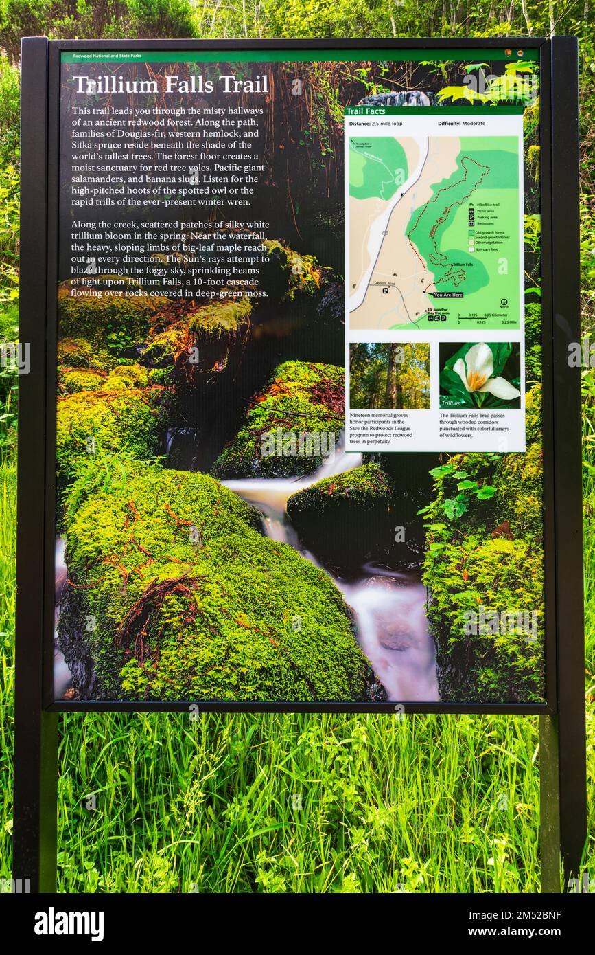 Trillium Falls Trail sign, Prairie Creek Redwood State Park, California ...