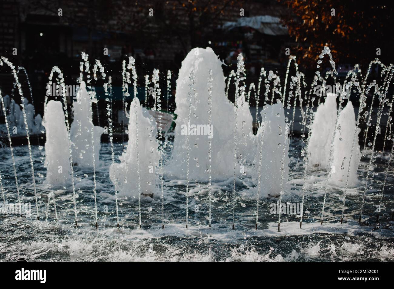 The fountains gushing sparkling water in a pool in a park Stock Photo ...