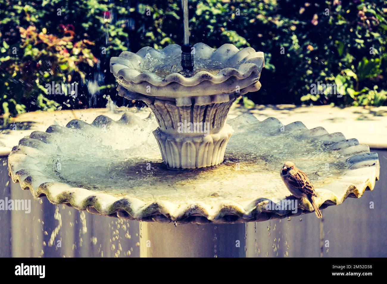Fountain view hi-res stock photography and images - Alamy