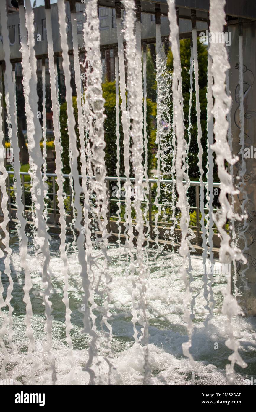 The fountains gushing sparkling water in a pool in a park Stock Photo ...