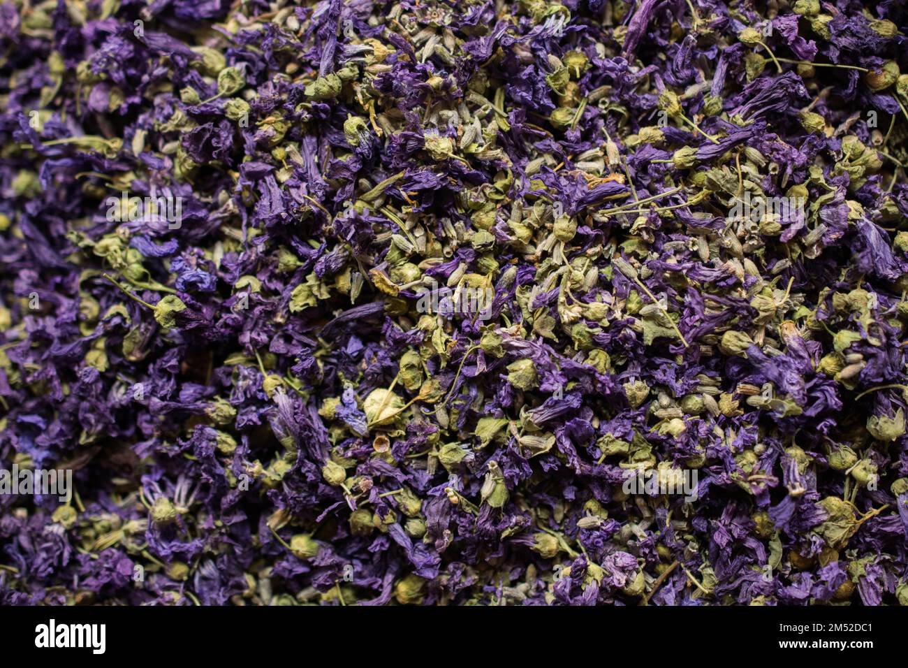 Dry herbal plants as food and remedy Stock Photo - Alamy