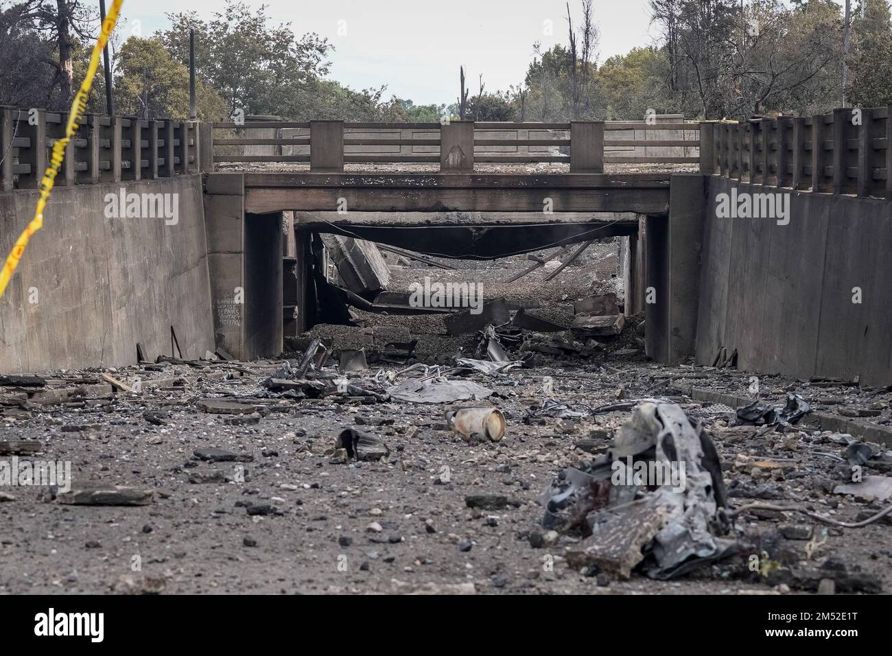 Johannesburg. 24th Dec, 2022. Photo taken on Dec. 24, 2022 shows the ...