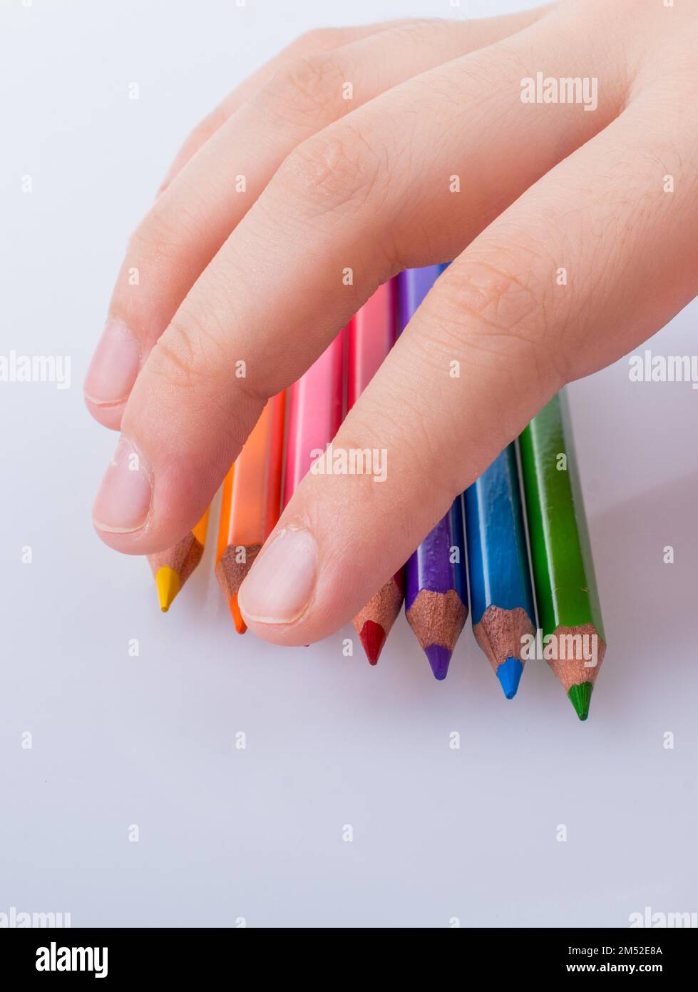 Hand holding color Pencils placed on a white background Stock Photo - Alamy