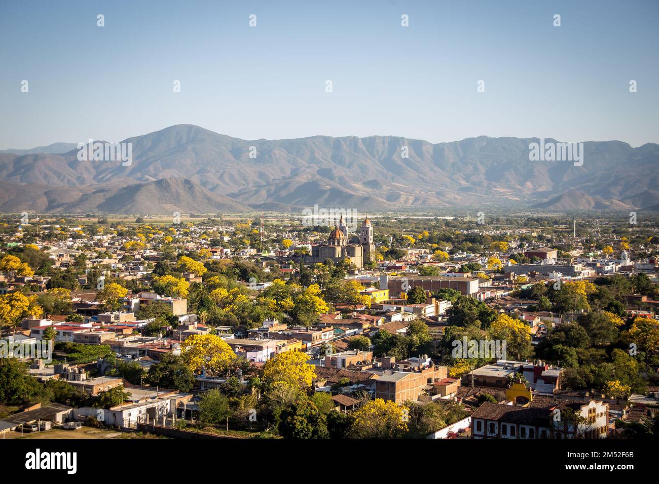 An aerial view of spring trees in the city of Autlan de navarro in ...