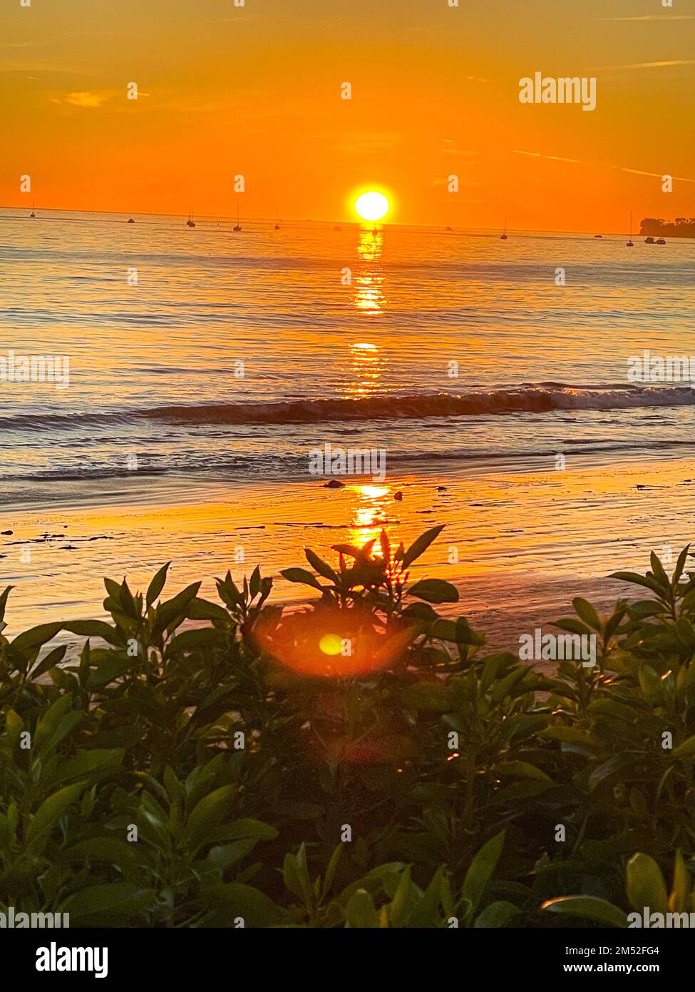 Santa Barbara, California, U.S.A. 23rd Dec, 2022. Beautiful golden ...