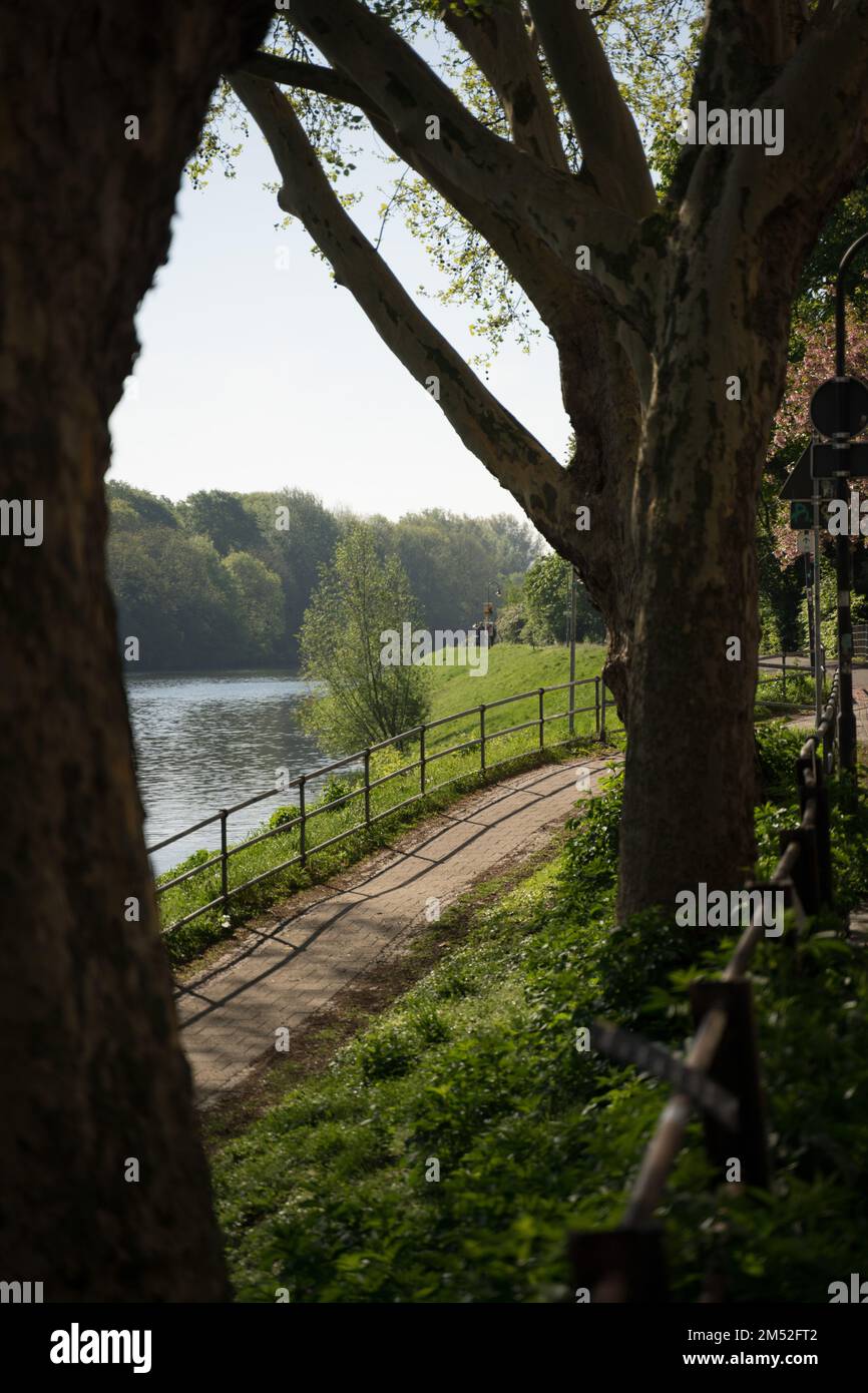 A vertical view of a pathway by the plants on the riverbank Stock Photo ...