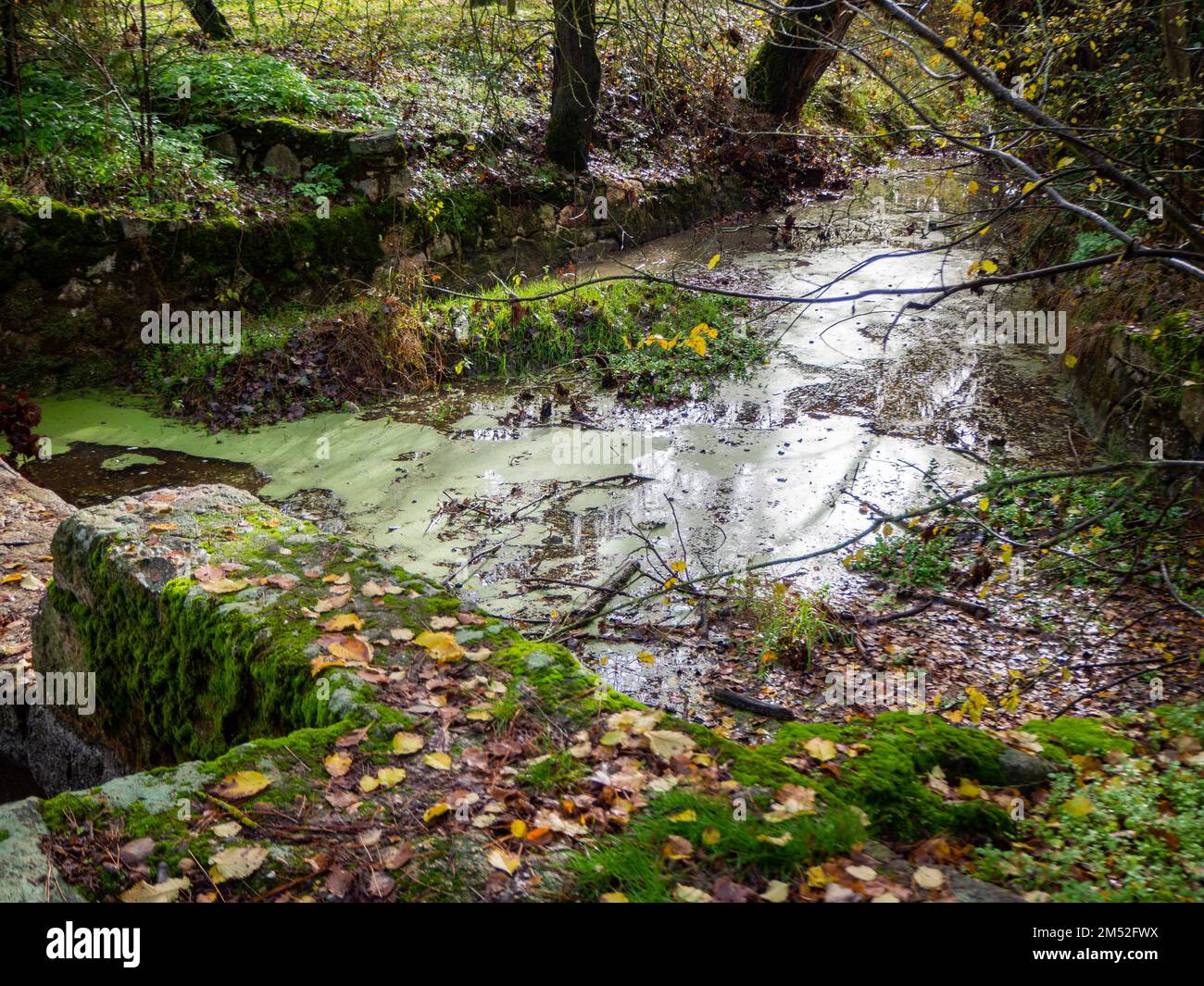 spring water contaminated by chemicals. Pollution concept Stock Photo ...