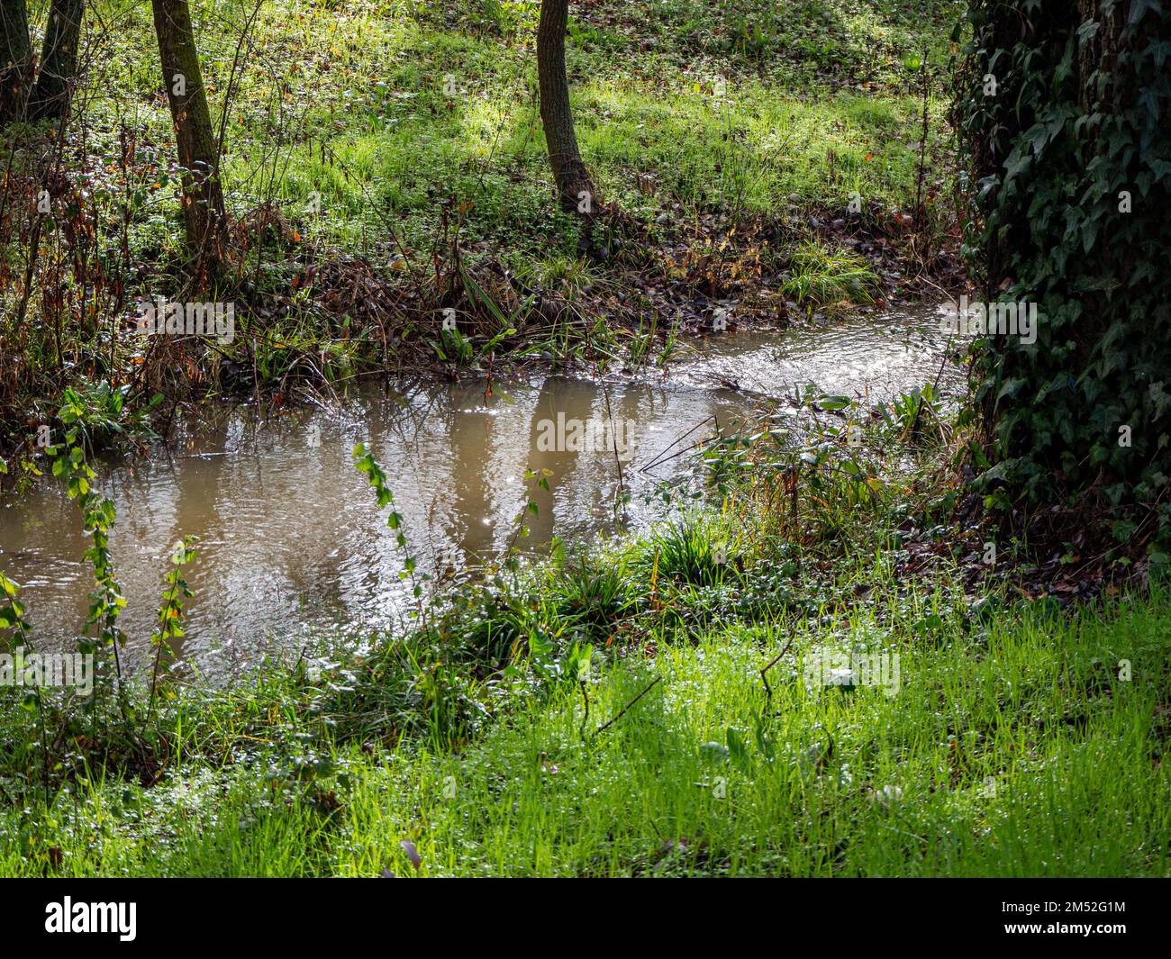 small river in nature overflowed by the autumn rains. Concept of ...