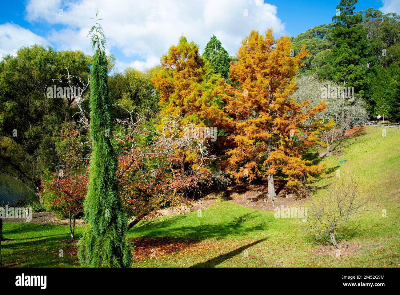 Mount Lofty Botanic Garden - South Australia Stock Photo - Alamy