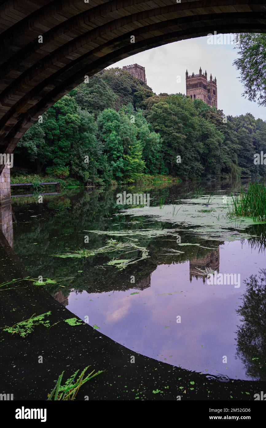 A vertical shot of the Cathedral Church of Christ, Blessed Mary the ...