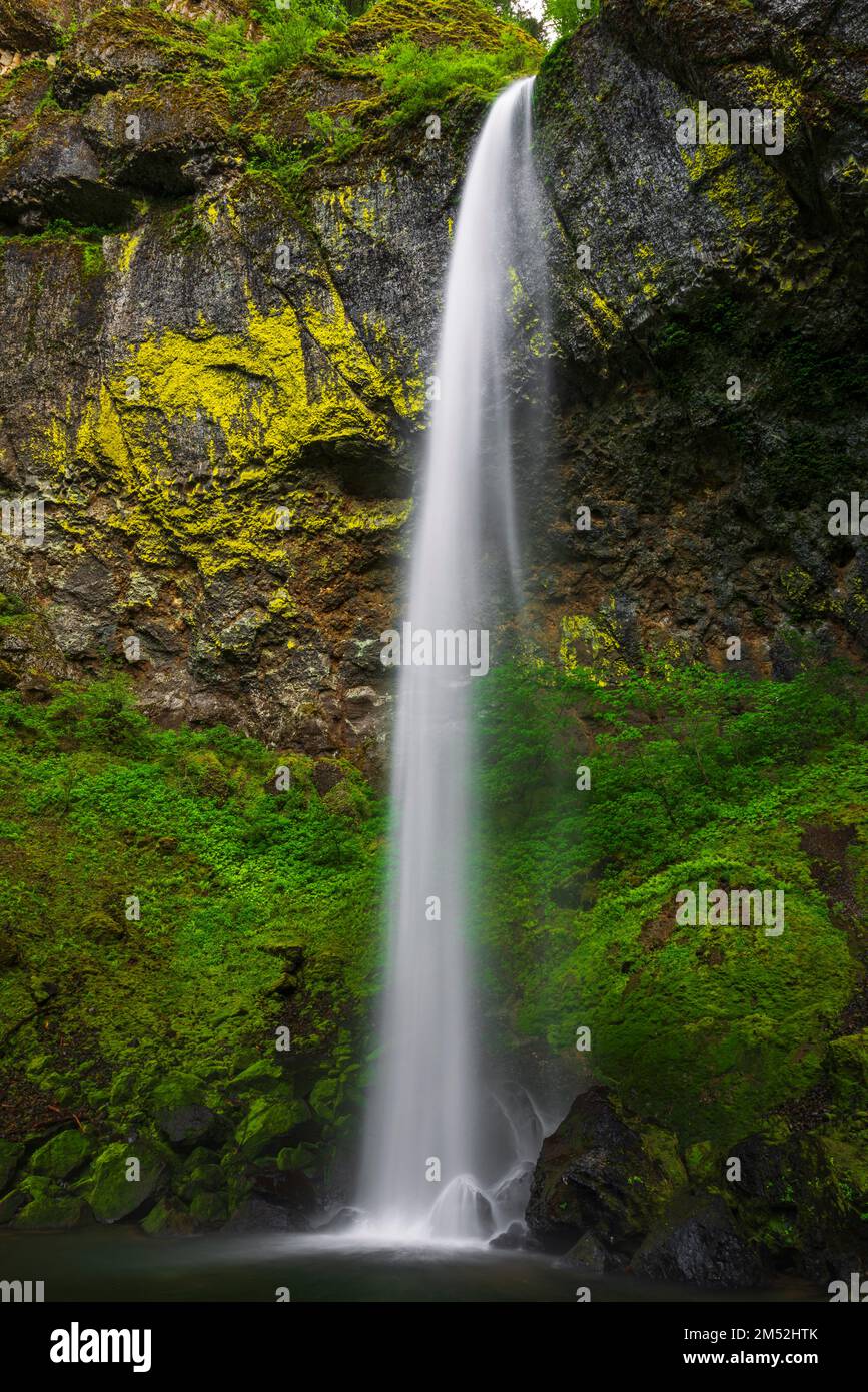Latourell Falls, Columbia River Gorge National Scenic Area, Oregon USA ...