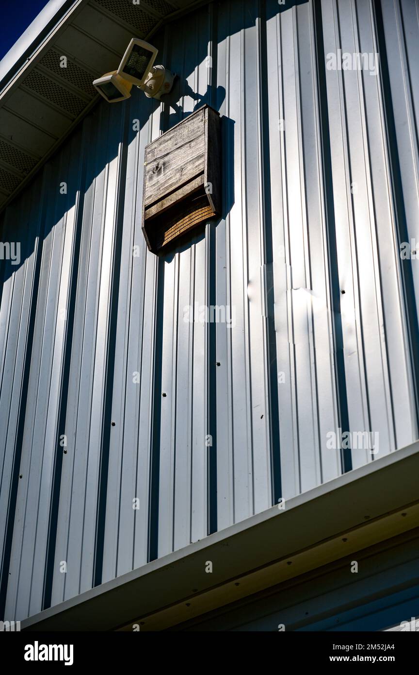 Wooden bat house on white corrugated tin barn Stock Photo - Alamy