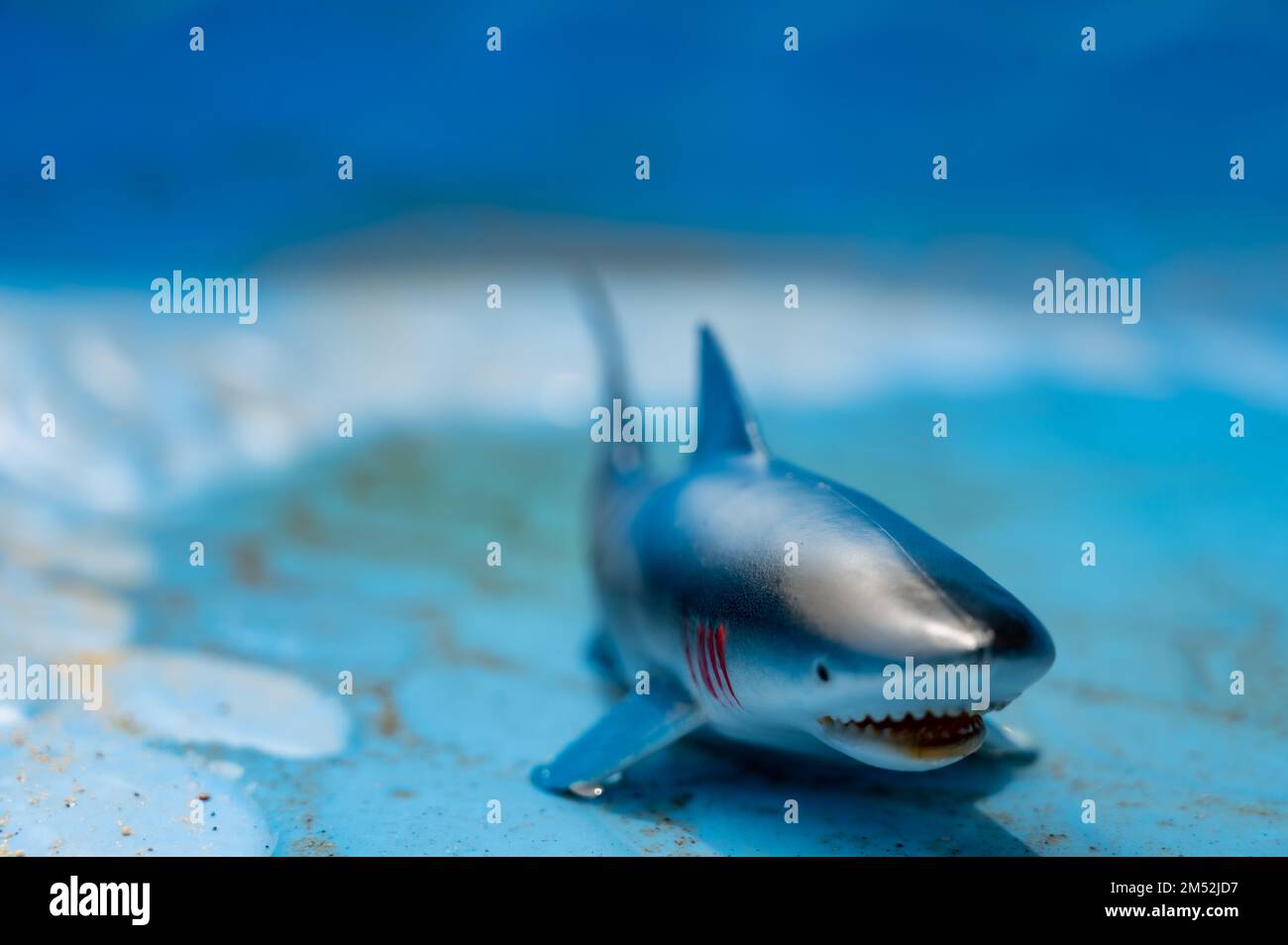 Plastic toy shark hi-res stock photography and images - Alamy