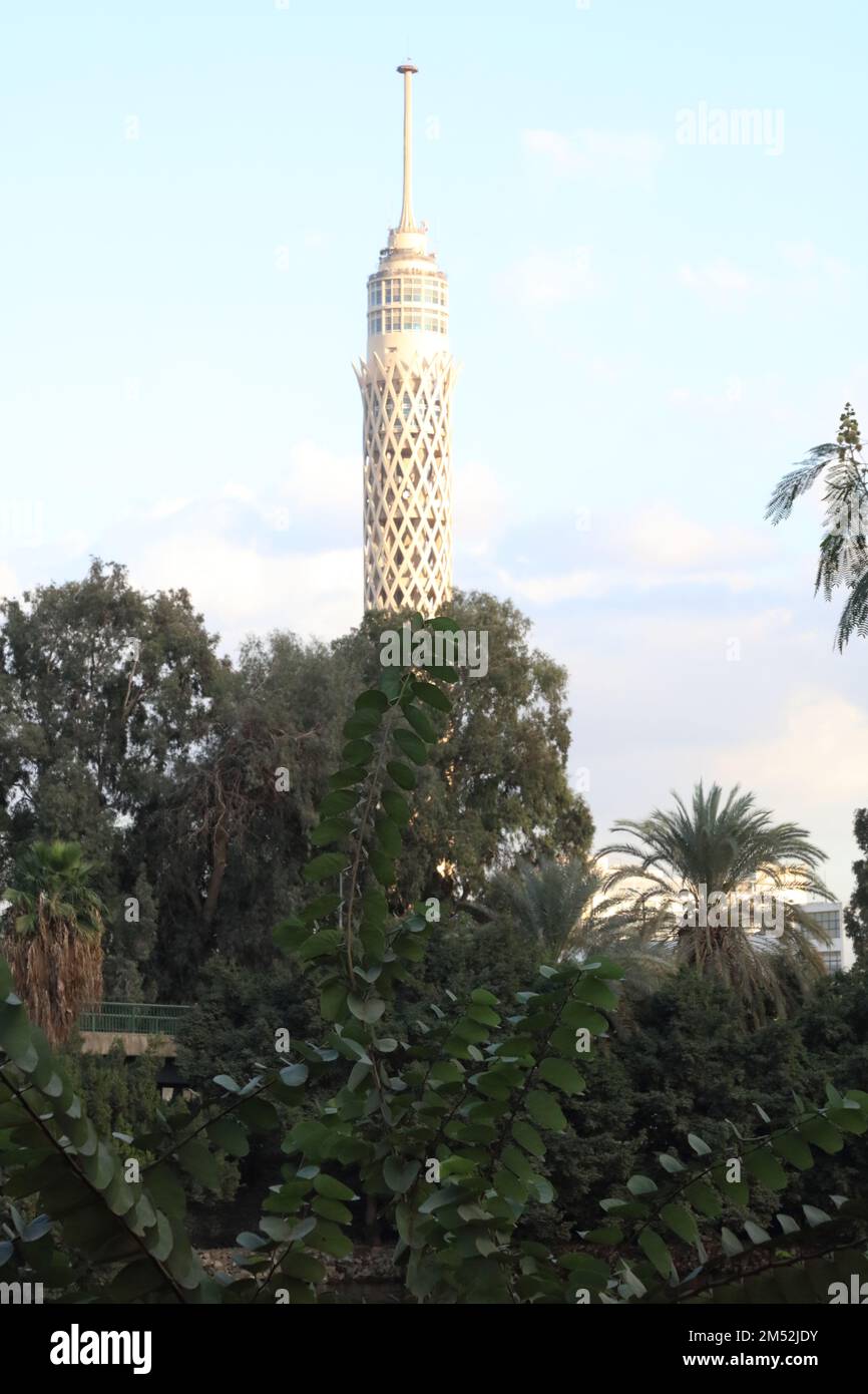 Cairo tower surounded with plants Stock Photo - Alamy