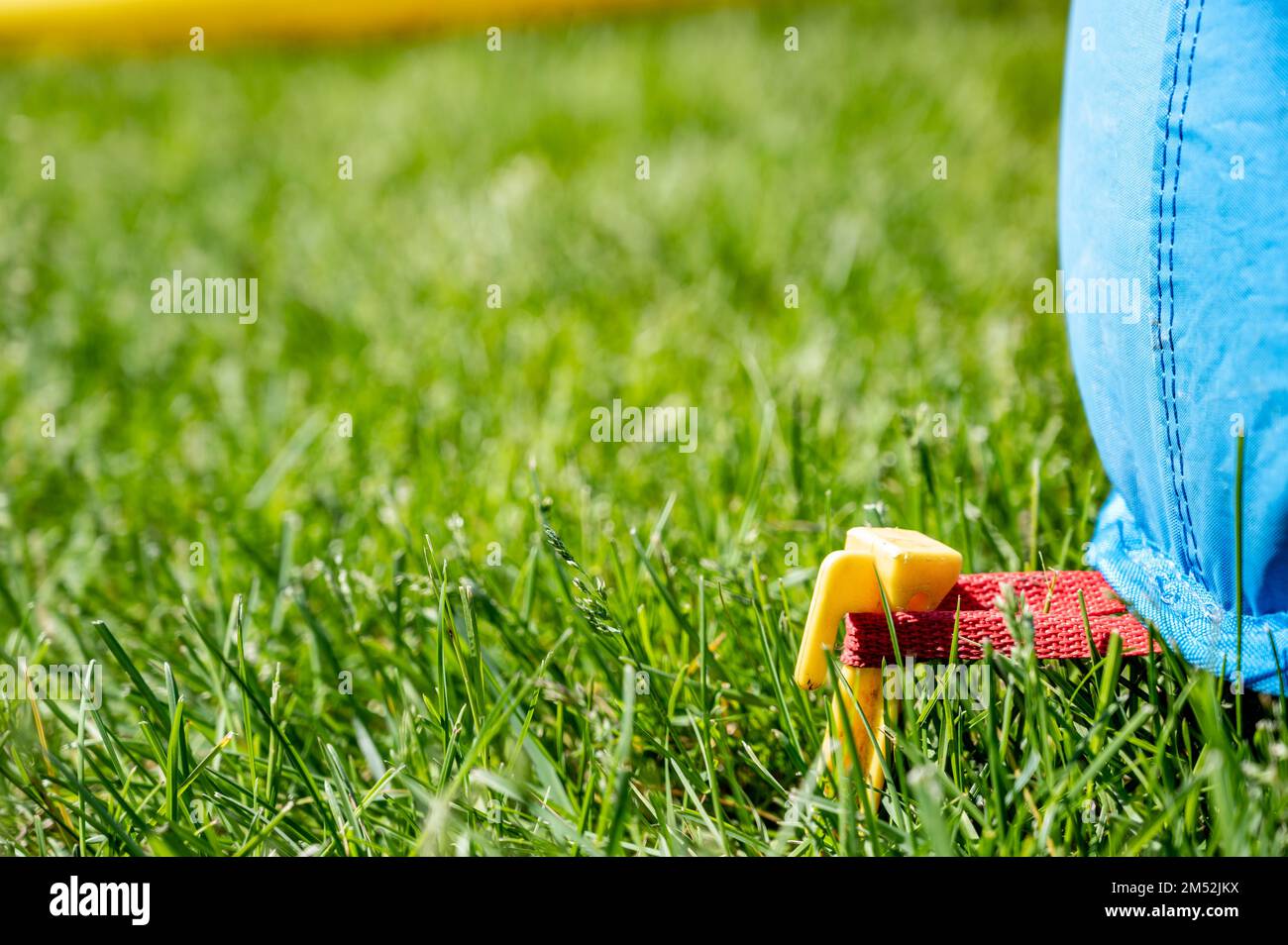 Bouncy house stake pinned into turf Stock Photo - Alamy