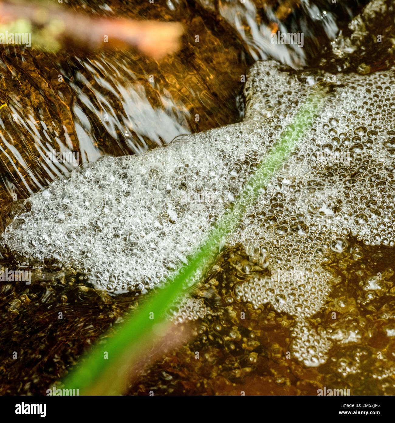 Frothy Detergent bubbles in a country stream Stock Photo - Alamy